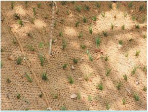 Coir Mesh l Sediment Control | SSI Environmental Ireland