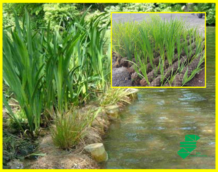 Best Irish coir logs erosion control | coir logs | in Ireland